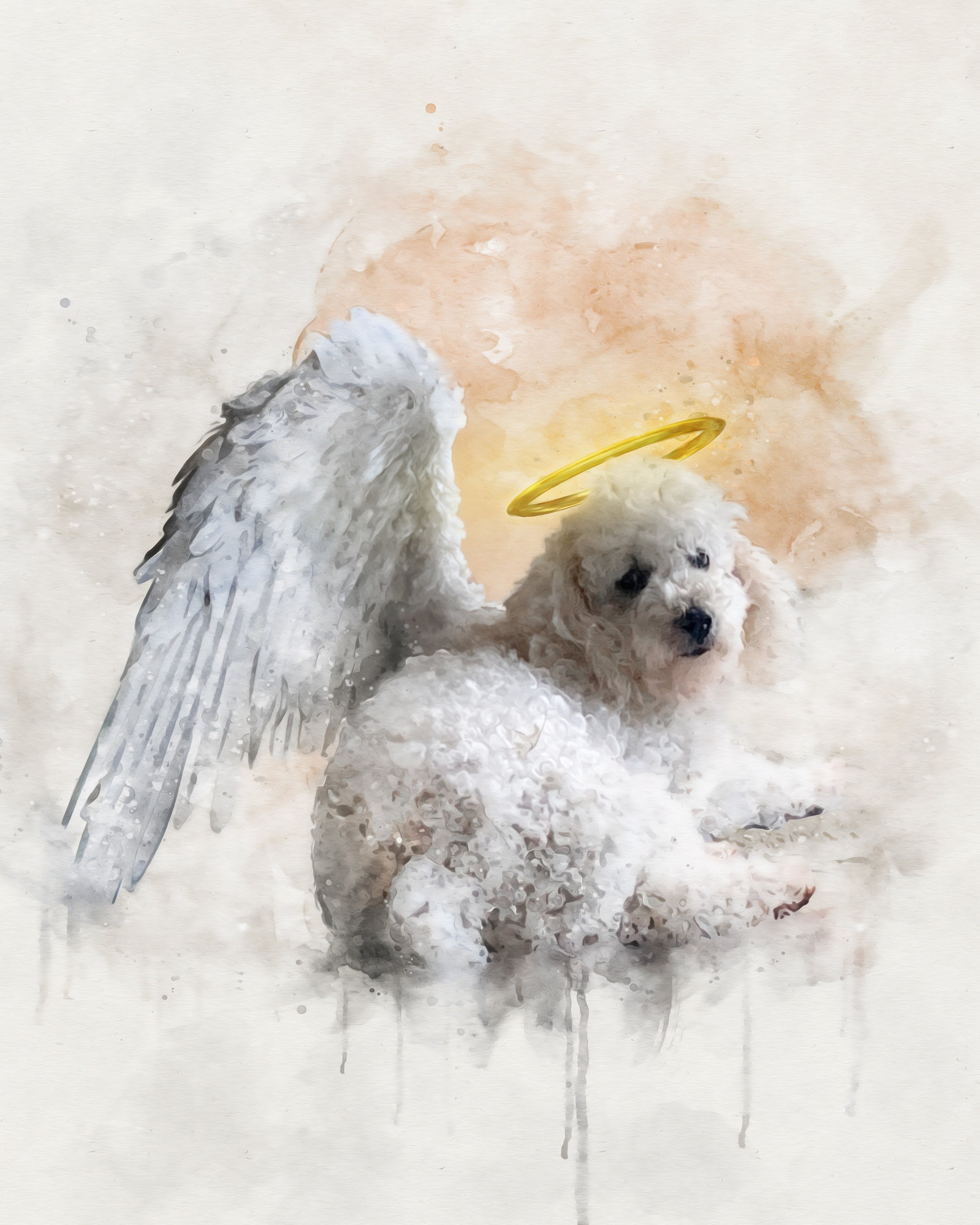Custom Paint Pet Memorial Portraits Using Pet Photo Personalized ...