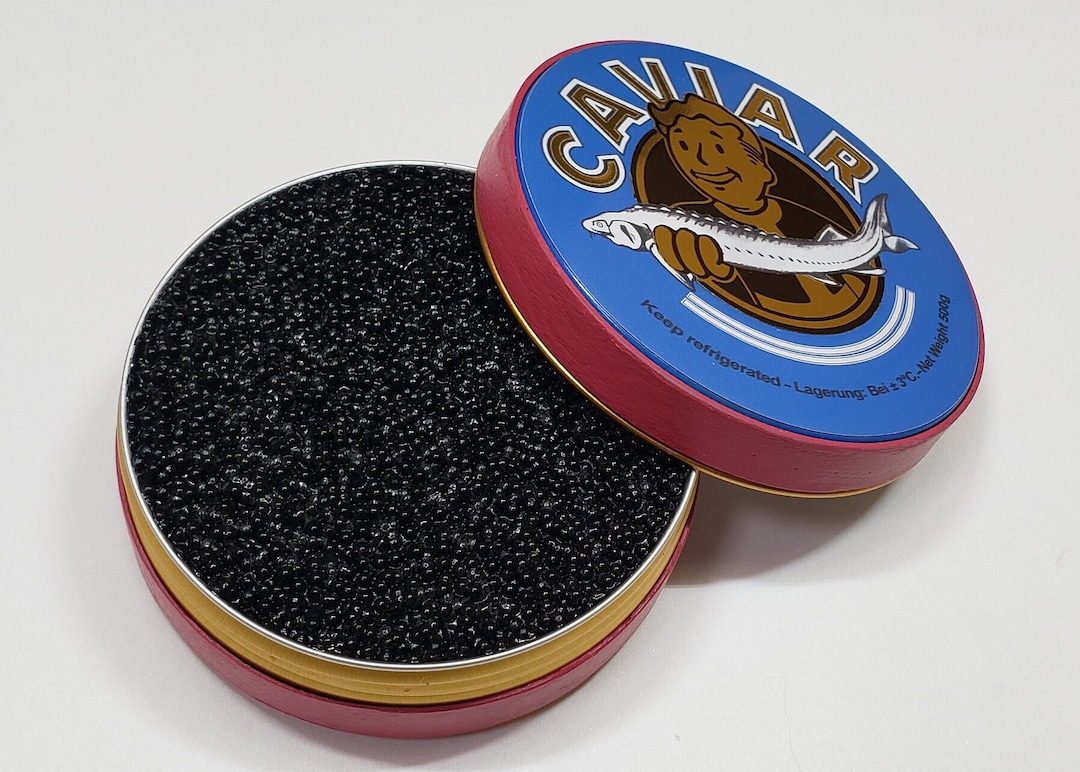 Vault-tec Caviar Fallout Inspired, 1:1 Full Scale Prop Replica or Vault ...