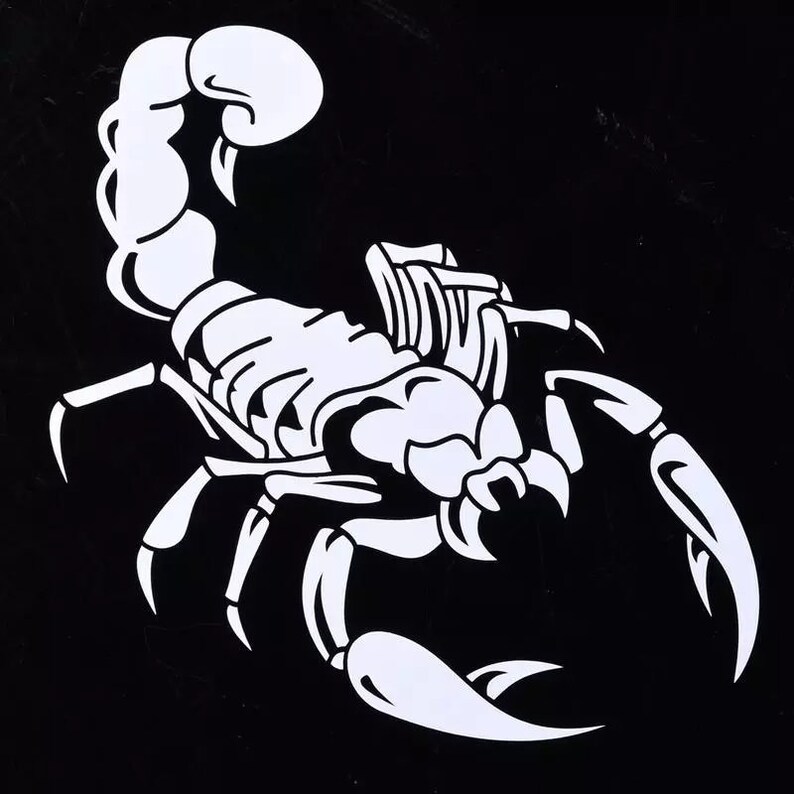 3D Scorpion Car Stickers Vinyl Decal Sticker for Cars Window Bumper ...