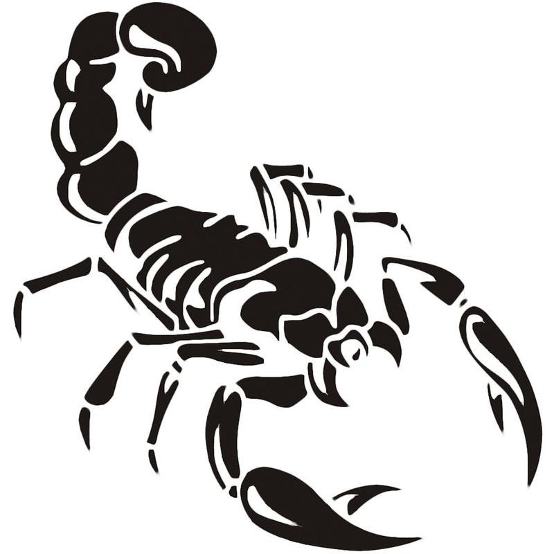3D Scorpion Car Stickers Vinyl Decal Sticker for Cars Window Bumper ...