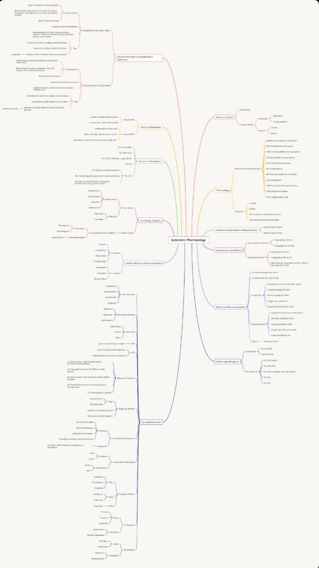 PEBC Review Mind Map According to Syllabus Subject: Autonomic ...