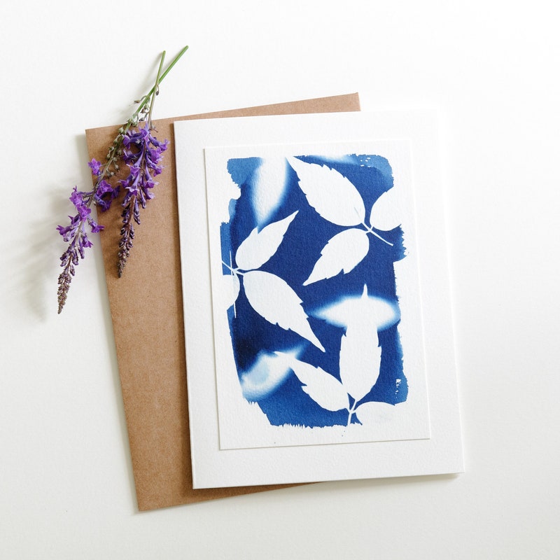 Cyanotype Cards - Etsy UK