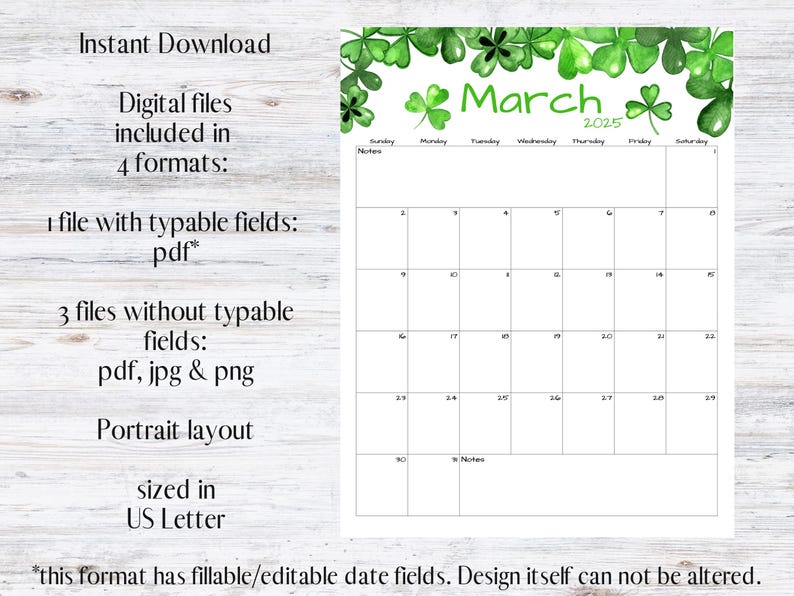 Fillable/editable March Calendar | March 2025 Printable Calendar ...