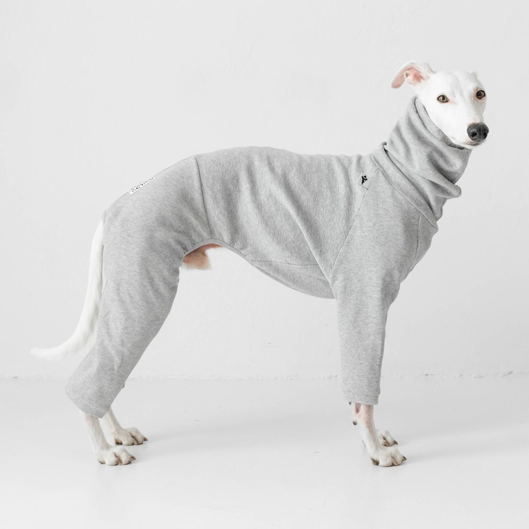 Second Skin Jumpsuit for Whippet / Silken Windsprite / Podenco Grey ...