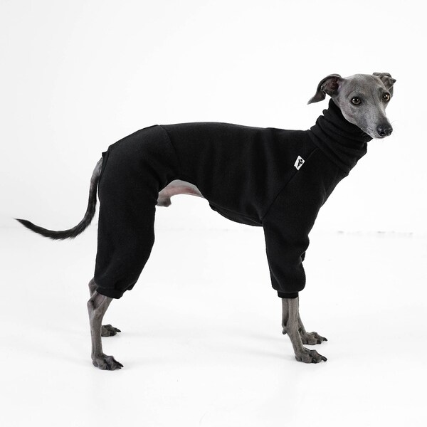 Italian Greyhound Clothing - Etsy