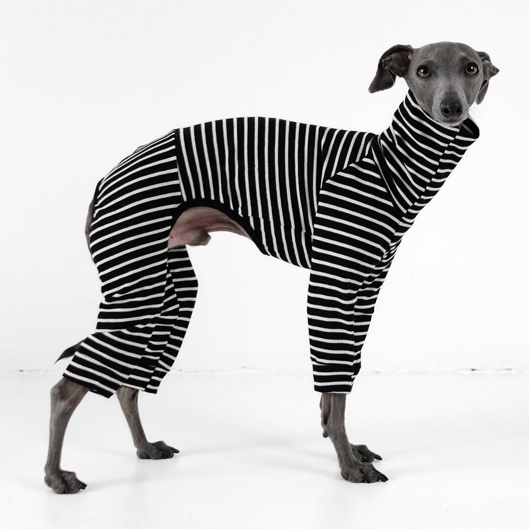 Second Skin Overall Breton Stripes for Italian Greyhounds - Etsy