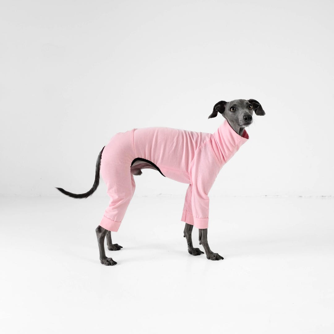 Second Skin Overall Light Pink for Italian Greyhounds - Etsy