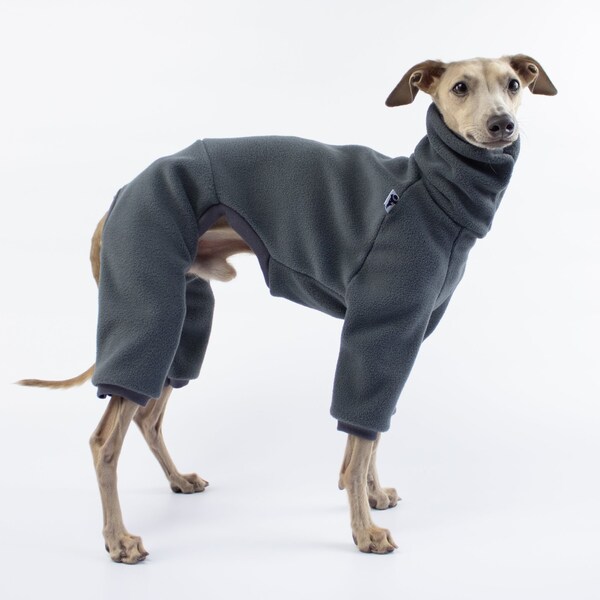 Italian Greyhound Clothing - Etsy