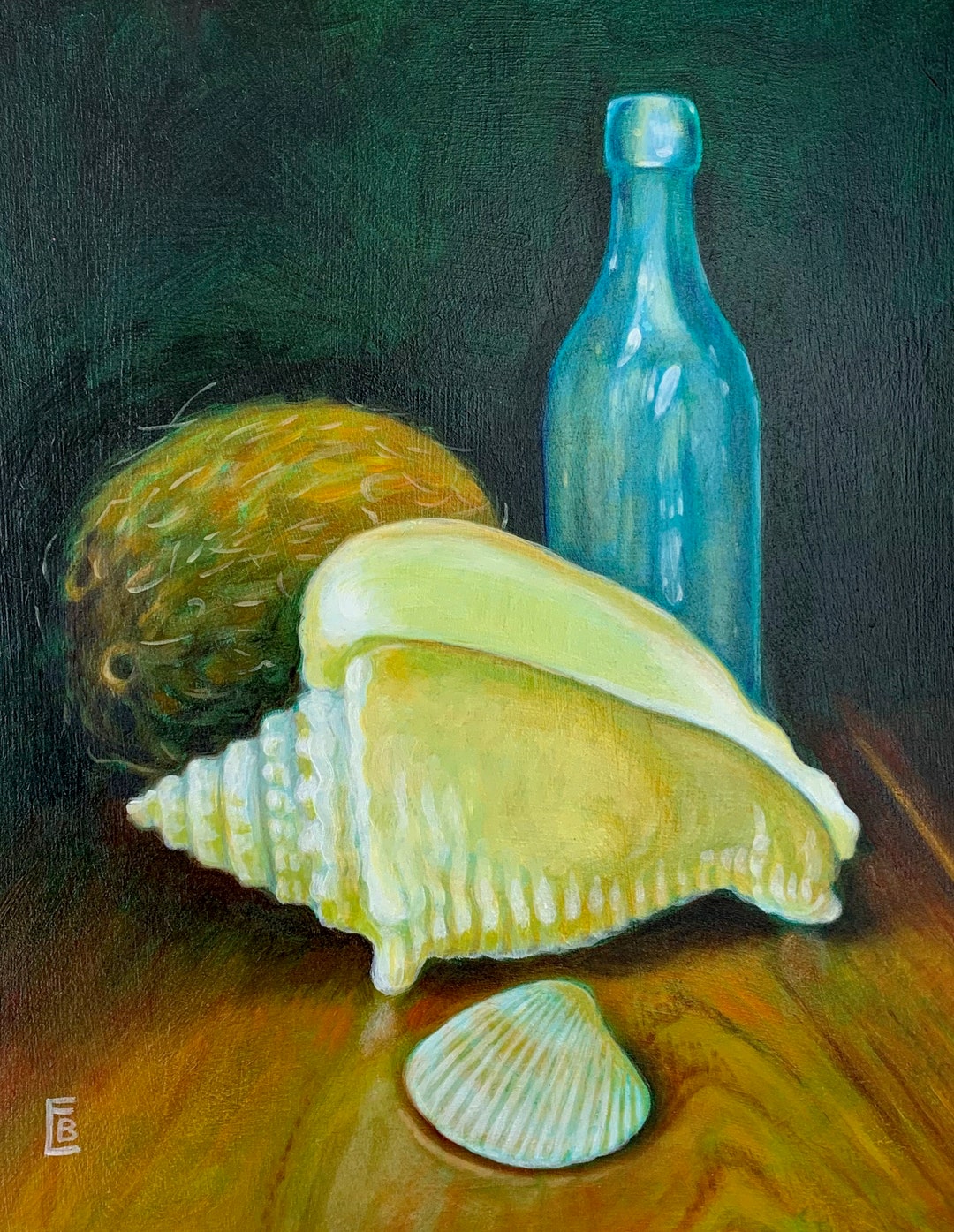 Still Life With Sea Shells and Coconut, Signed Print - Etsy