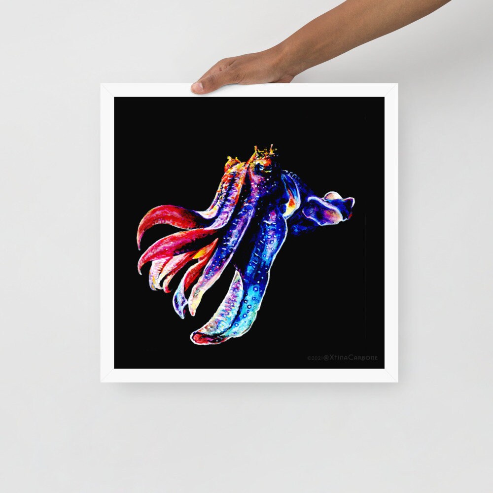 Giant Rainbow Cuttlefish FRAMED Fine Art Poster Print - Etsy