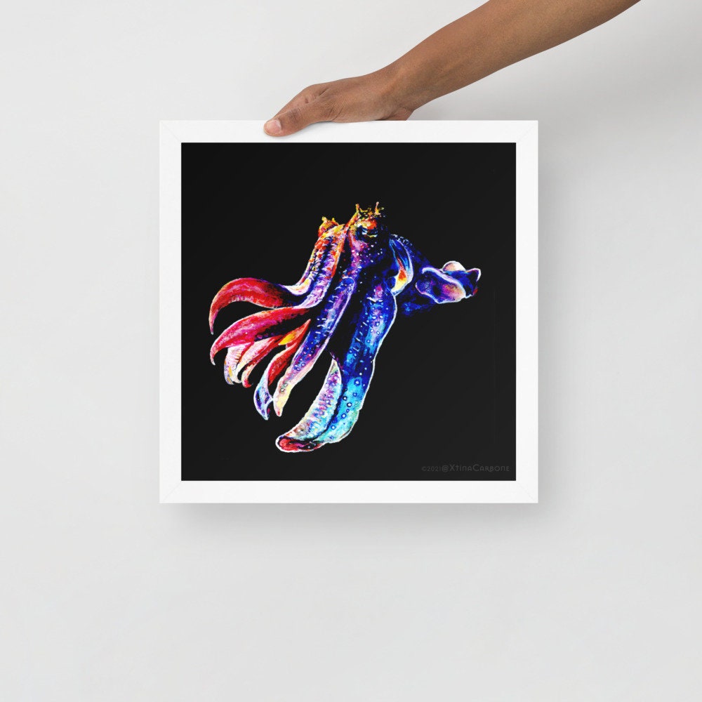 Giant Rainbow Cuttlefish FRAMED Fine Art Poster Print - Etsy