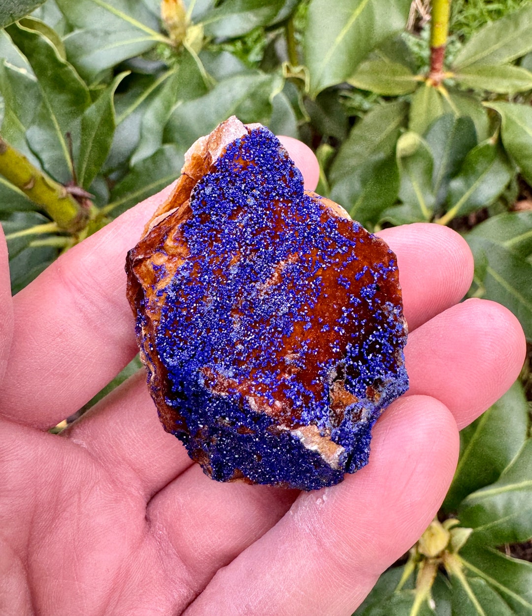Azurite Specimen, Crystal Healing, Azurite Specimens, Blue Azurite ...