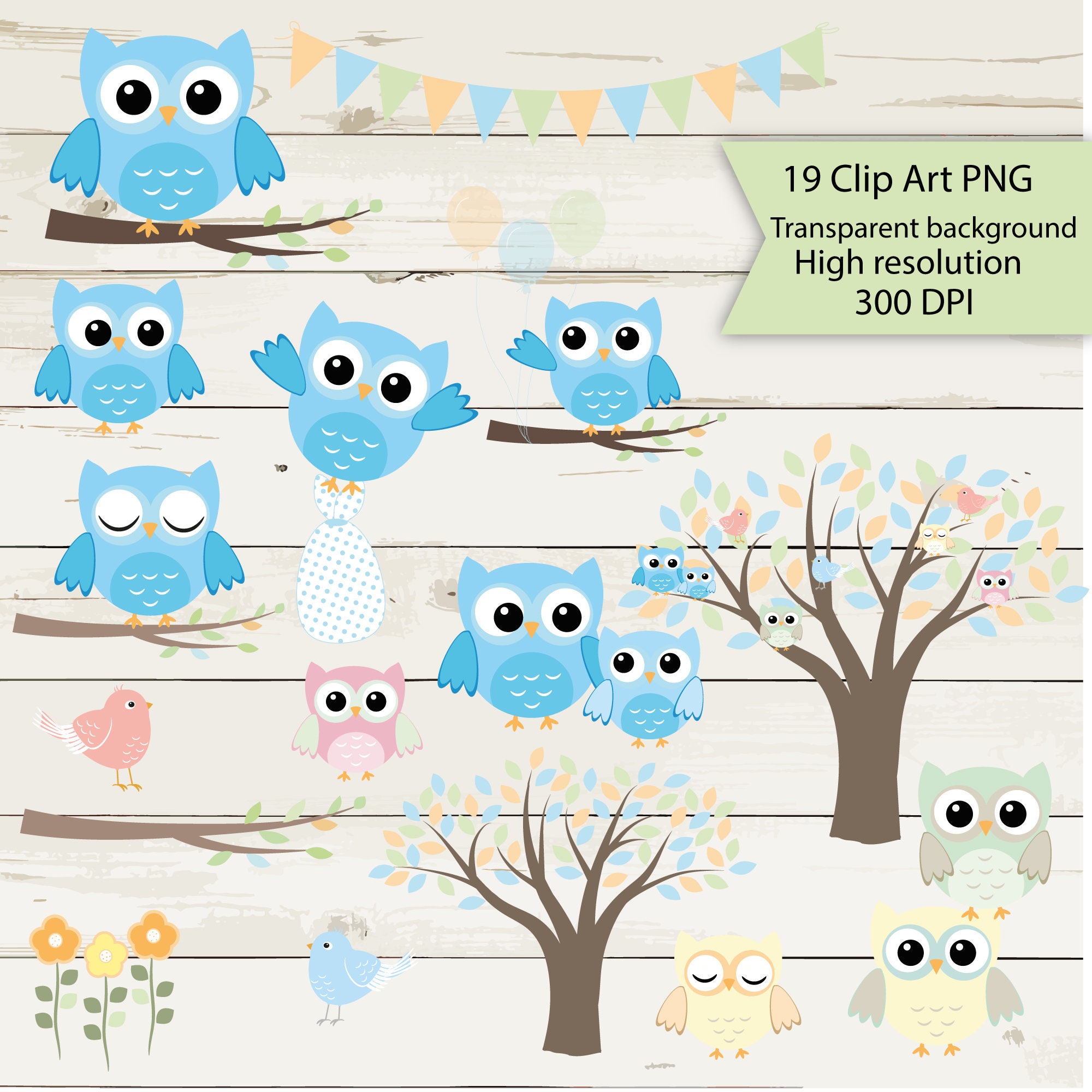 Baby Owl SET / Clip Art / Digital Paper / Scrapbooking / digital ...