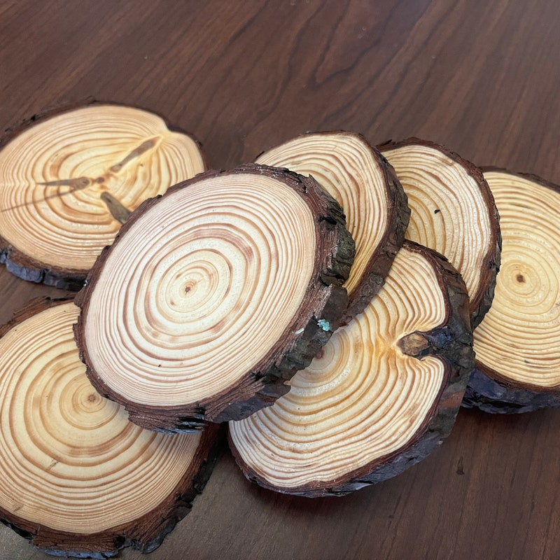 Wooden Rounds - Etsy