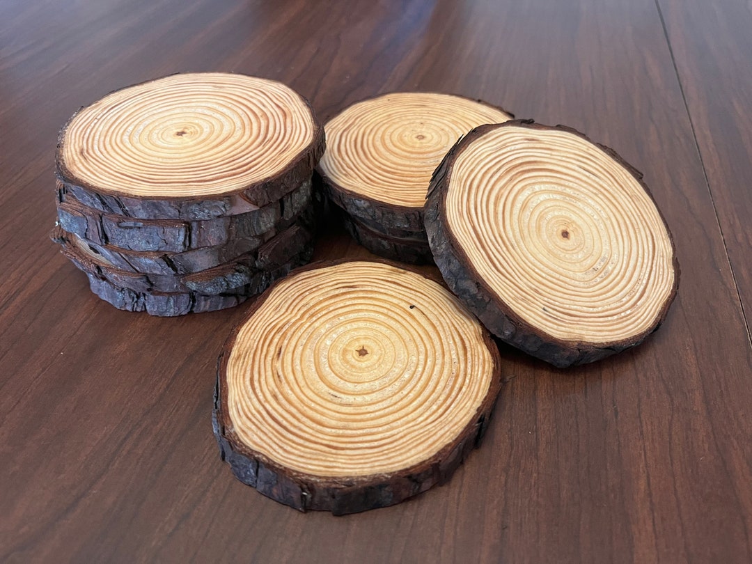 Kiln Dried 4 Inch Craft Wood Rounds Set of 100 Pcs - Etsy