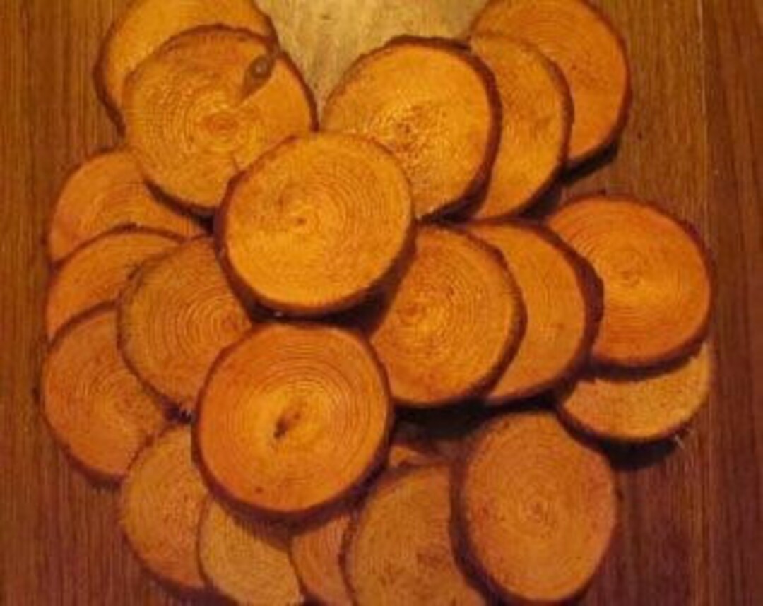 3”-4” Sanded Pine Rounds Rustic Wood Set of 45 Pieces FREE SHIPPING ...