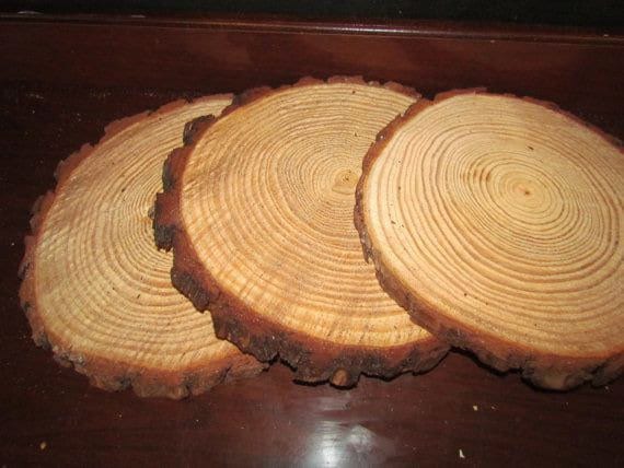 Set of 3 Southern Pine Wood Rounds - Etsy