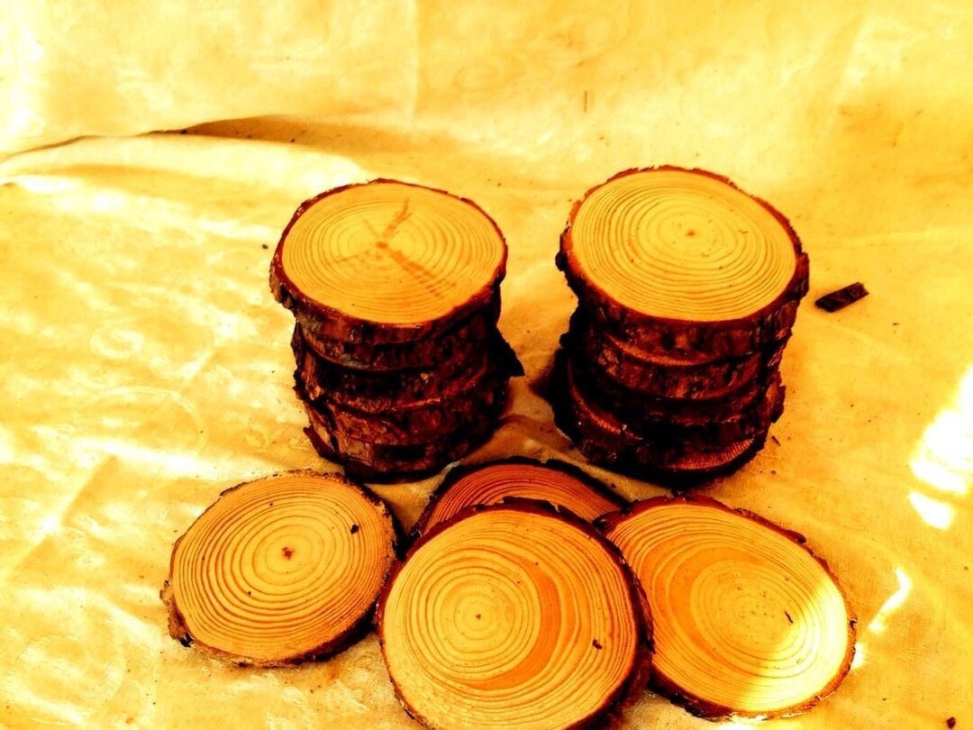 Sanded Pine Rounds, 3_3.5" Fully Dried Free Shipping Set of 65 - Etsy