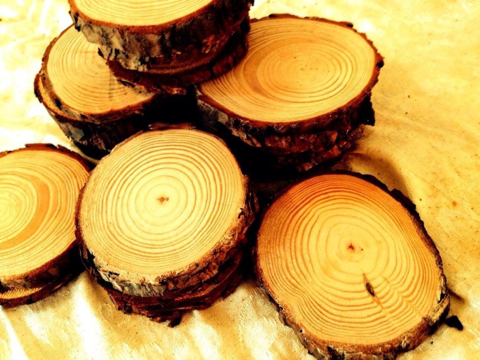 Sanded Pine Rounds, 3_3.5" Fully Dried Free Shipping Set of 65 - Etsy