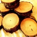 Sanded Pine Rounds, 3_3.5" Fully Dried Free Shipping Set of 65 - Etsy