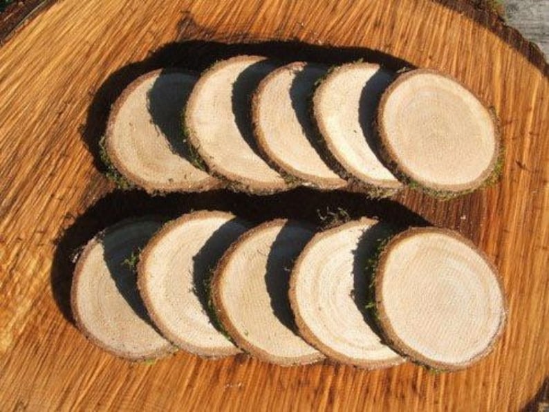 FREE SHIPPING. Rustic Wood Rounds Perfect for Wedding Favors | Etsy