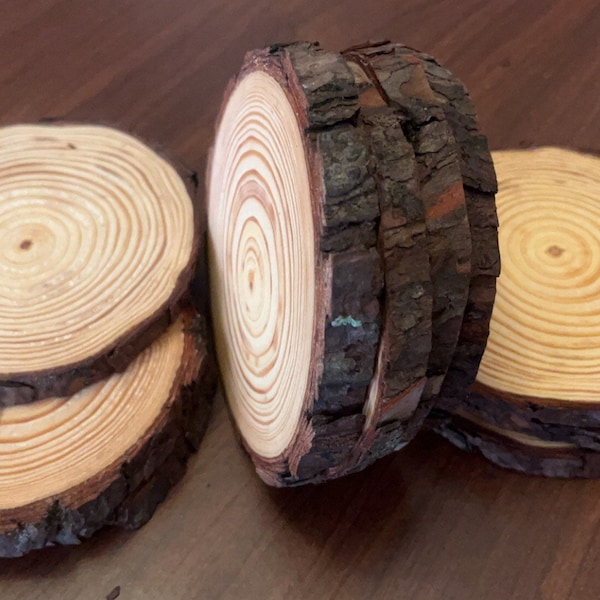 Bulk Wood Slices - Etsy
