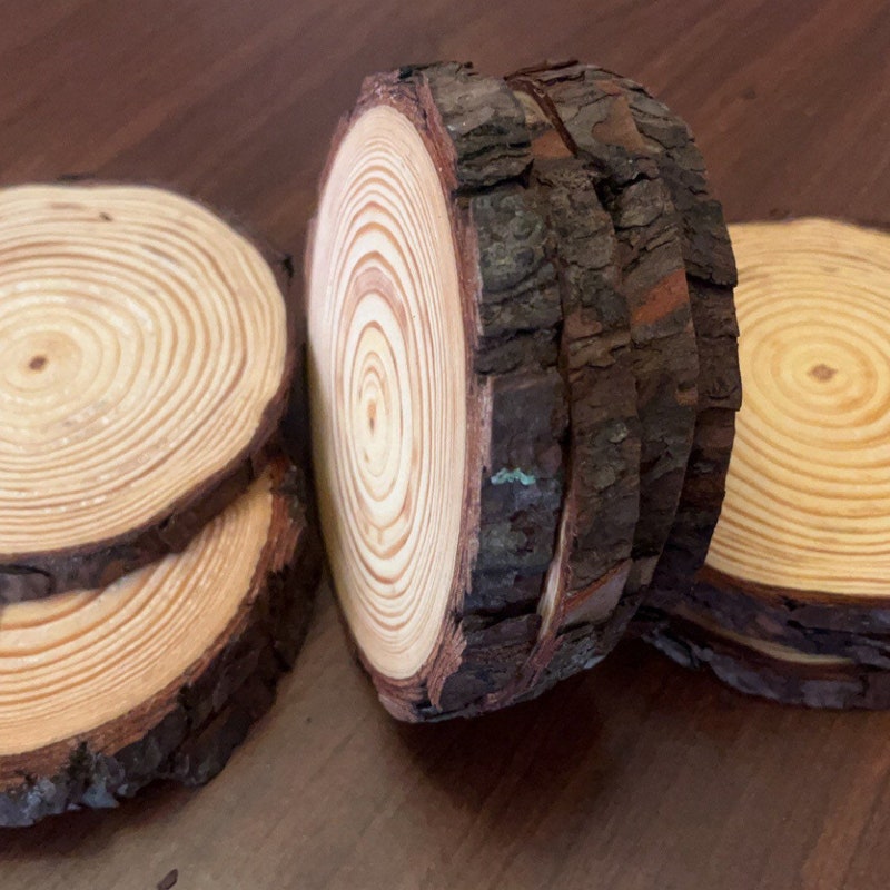 Bulk Wood Slices - Etsy