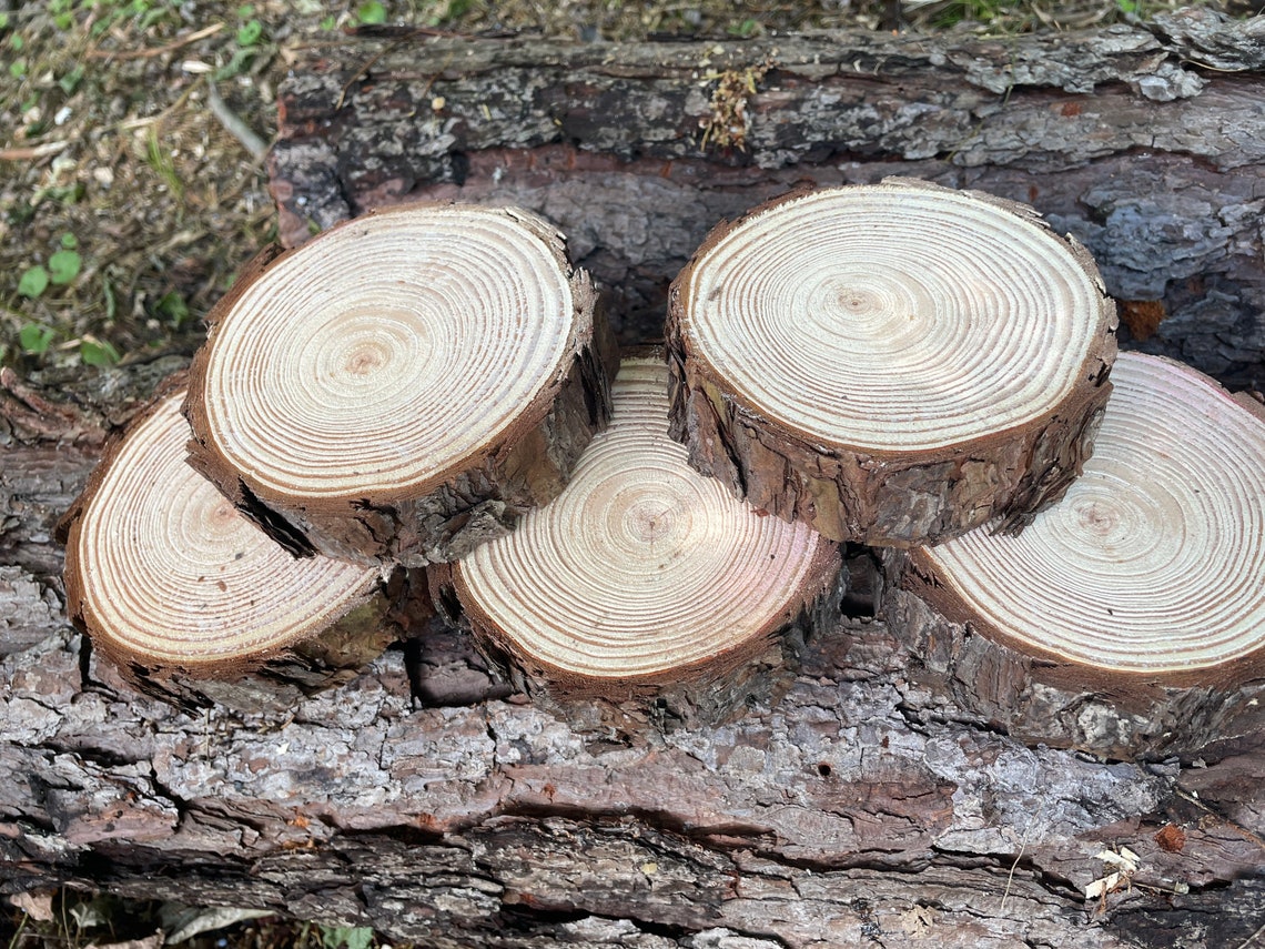 4.5 by 1 Solid Wood Coasters Set of 18 Pieces | Etsy