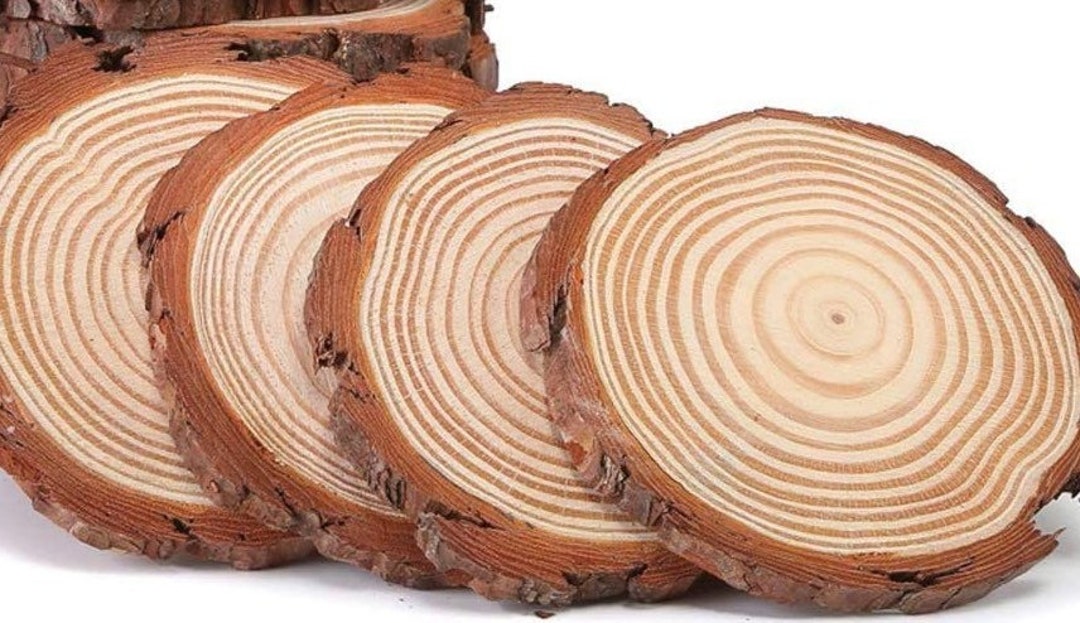 5 Pcs 6 to 7 Sanded, Dried Southern Pine Wood Rounds - Etsy