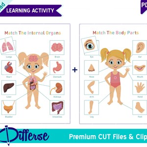 Kids Body Parts and Organs Learning Activity | Human Body Poster | Kids ...