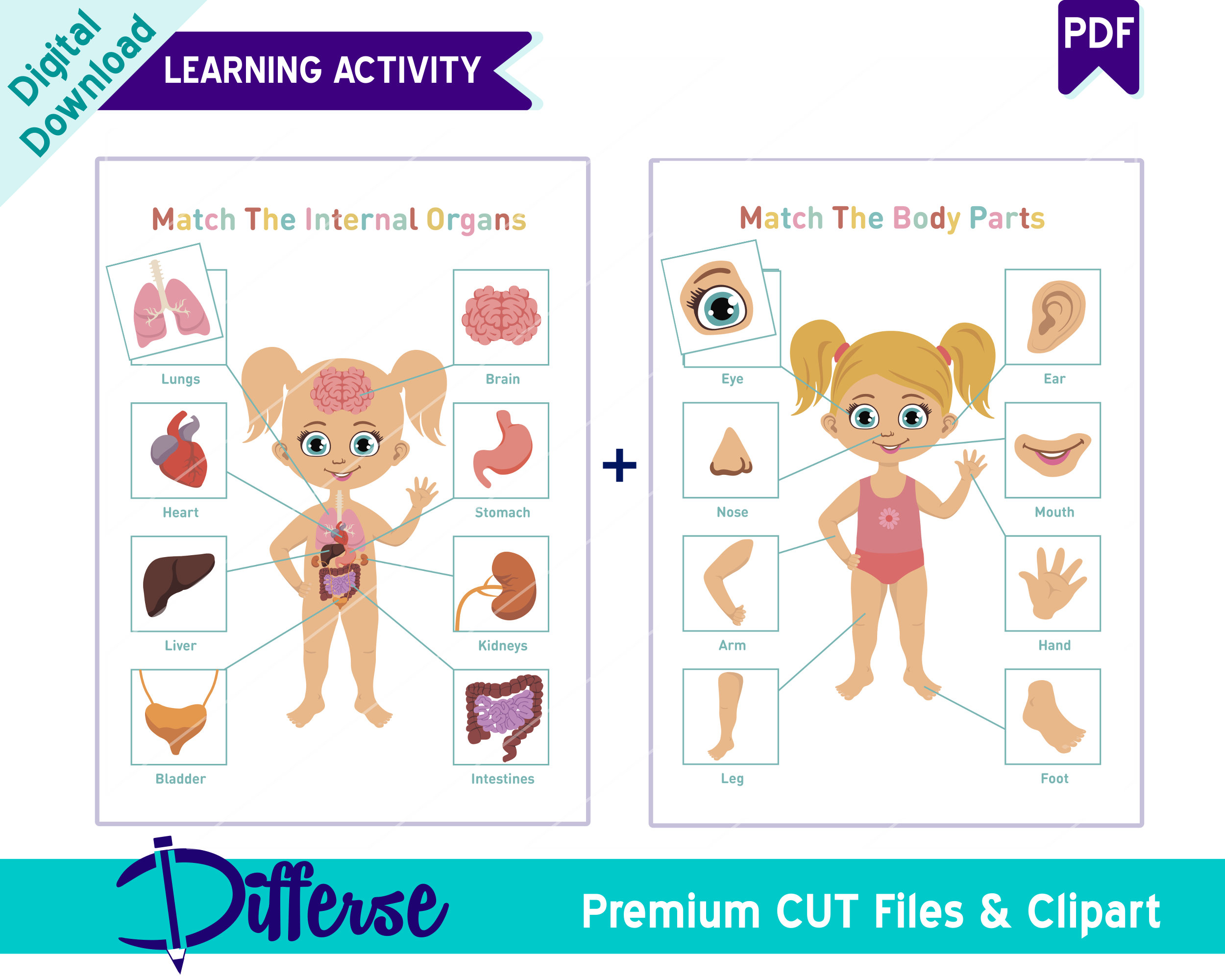 Kids Body Parts and Organs Learning Activity | Human Body Poster | Kids ...