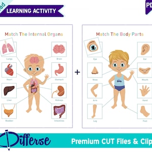 Kids Body Parts and Organs Learning Activity | Human Body Poster | Kids ...