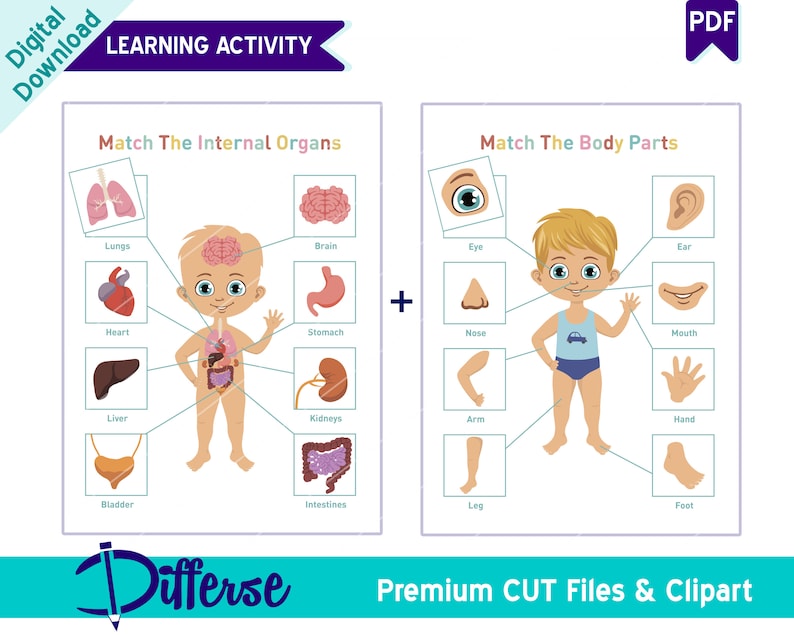 Kids Body Parts and Organs Learning Activity | Human Body Poster | Kids ...