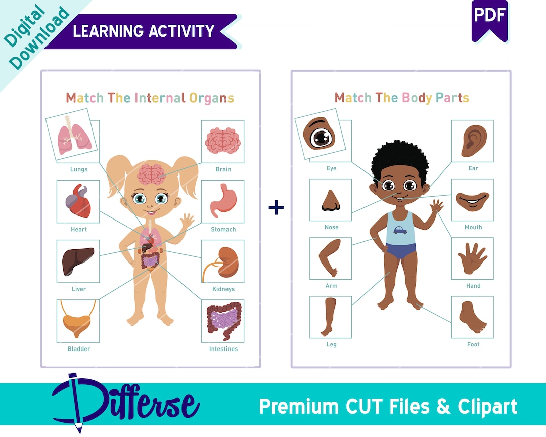 Kids Body Parts and Organs Learning Activity | Human Body Poster | Kids ...