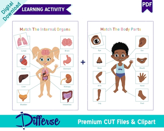 Child Friendly Body Parts