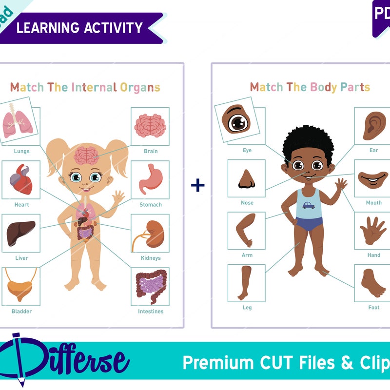 Body Parts Matching - Etsy