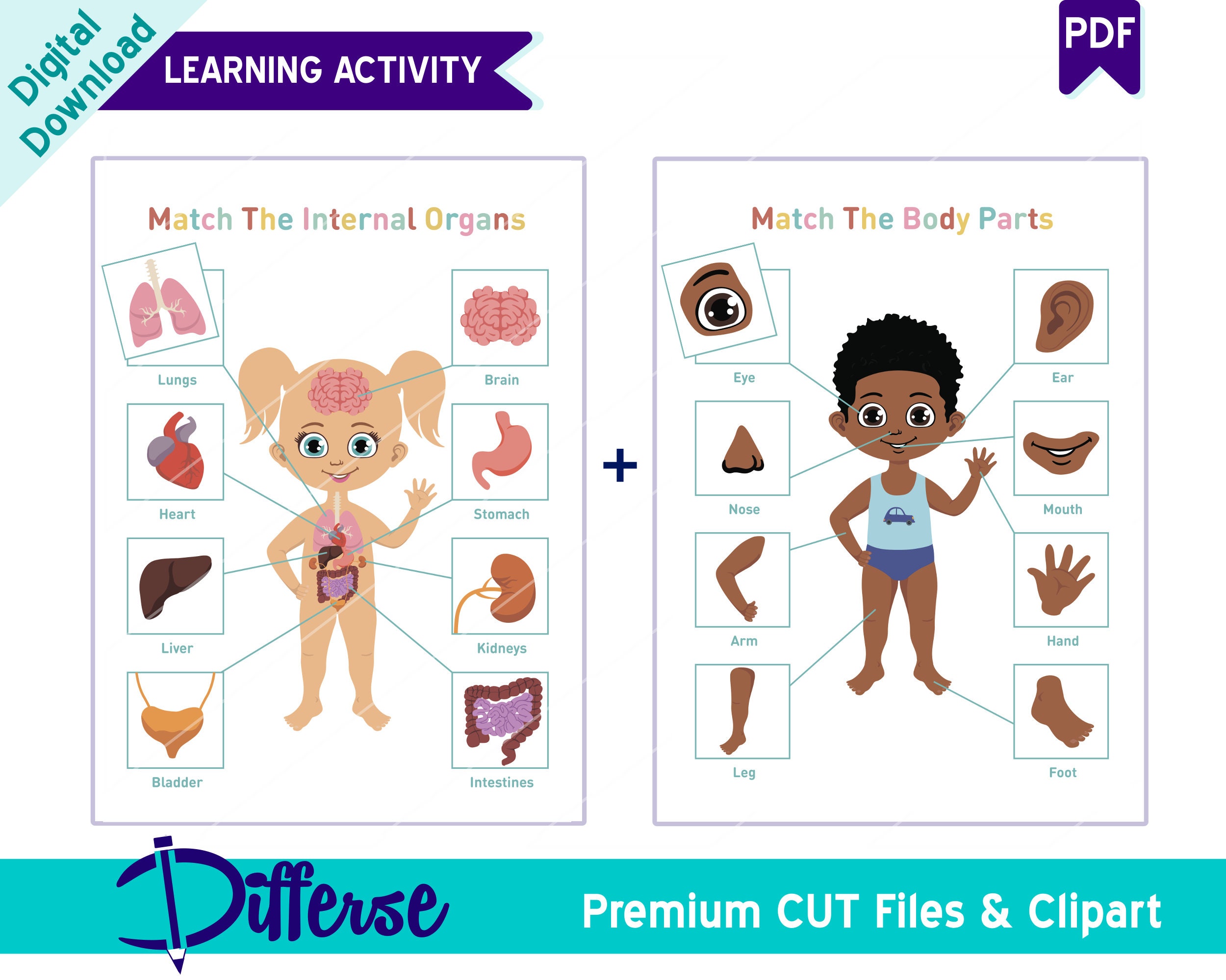 Kids Body Parts and Organs Learning Activity | Human Body Poster | Kids ...