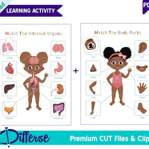 Kids Body Parts and Organs Learning Activity | Human Body Poster | Kids ...