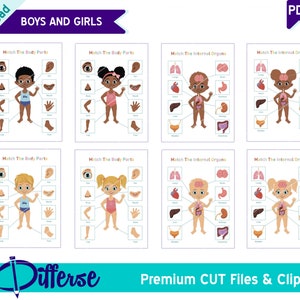 Kids Body Parts and Organs Learning Activity | Human Body Poster | Kids ...