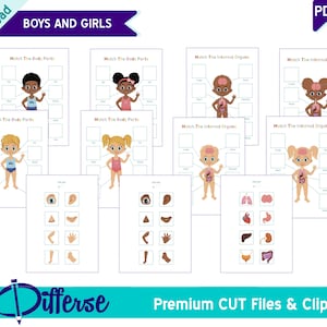 Kids Body Parts and Organs Learning Activity | Human Body Poster | Kids ...
