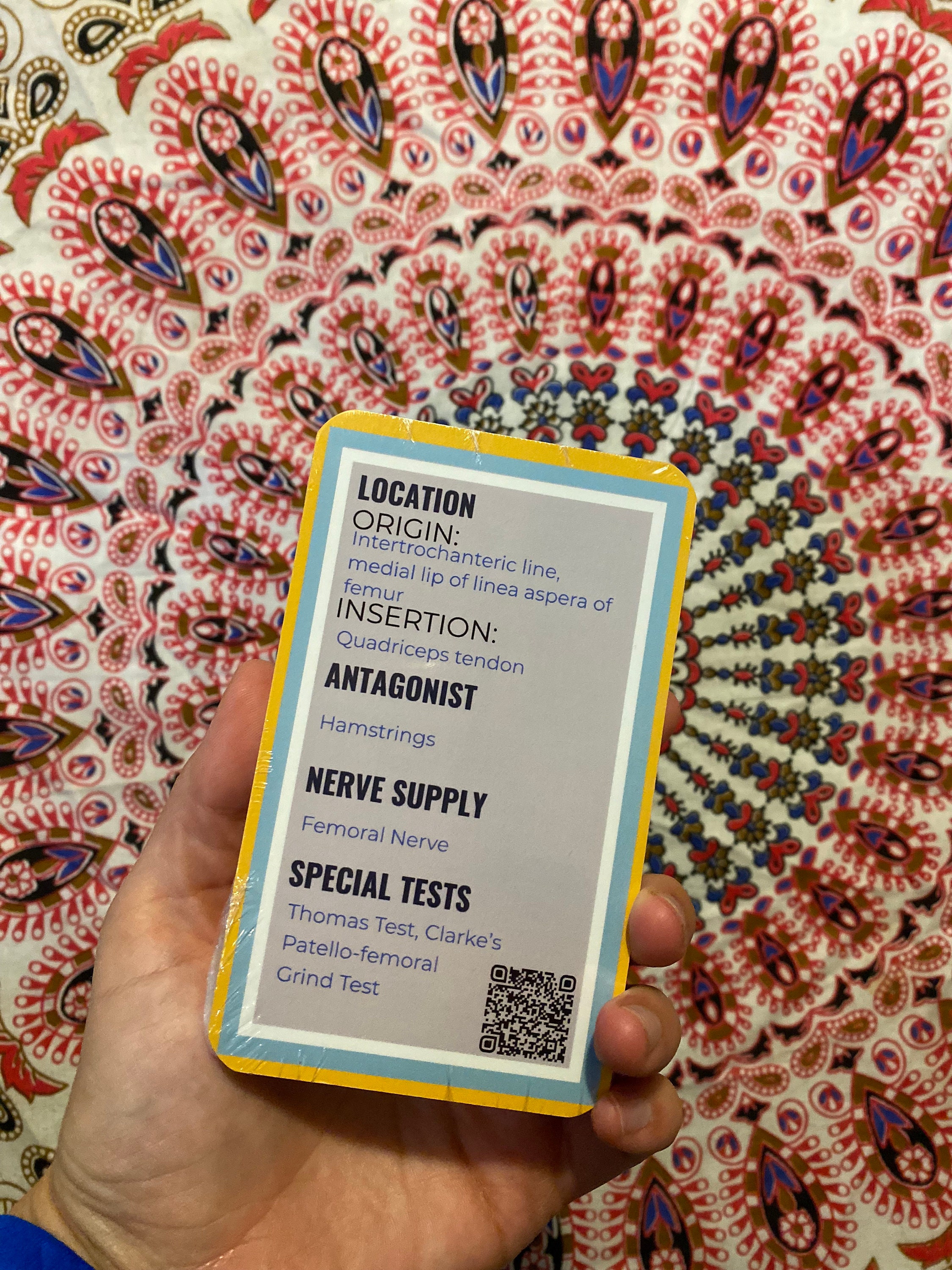 Muscle Flash Cards - Etsy