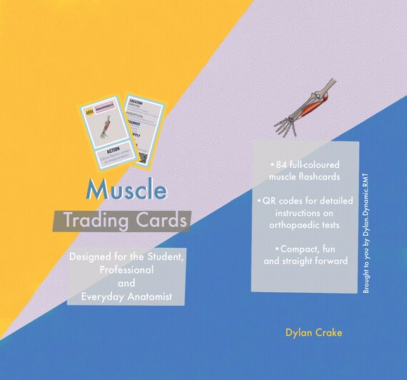 Digital Copy of Muscle Anatomy Trading Cards. EDITION 2 | Etsy