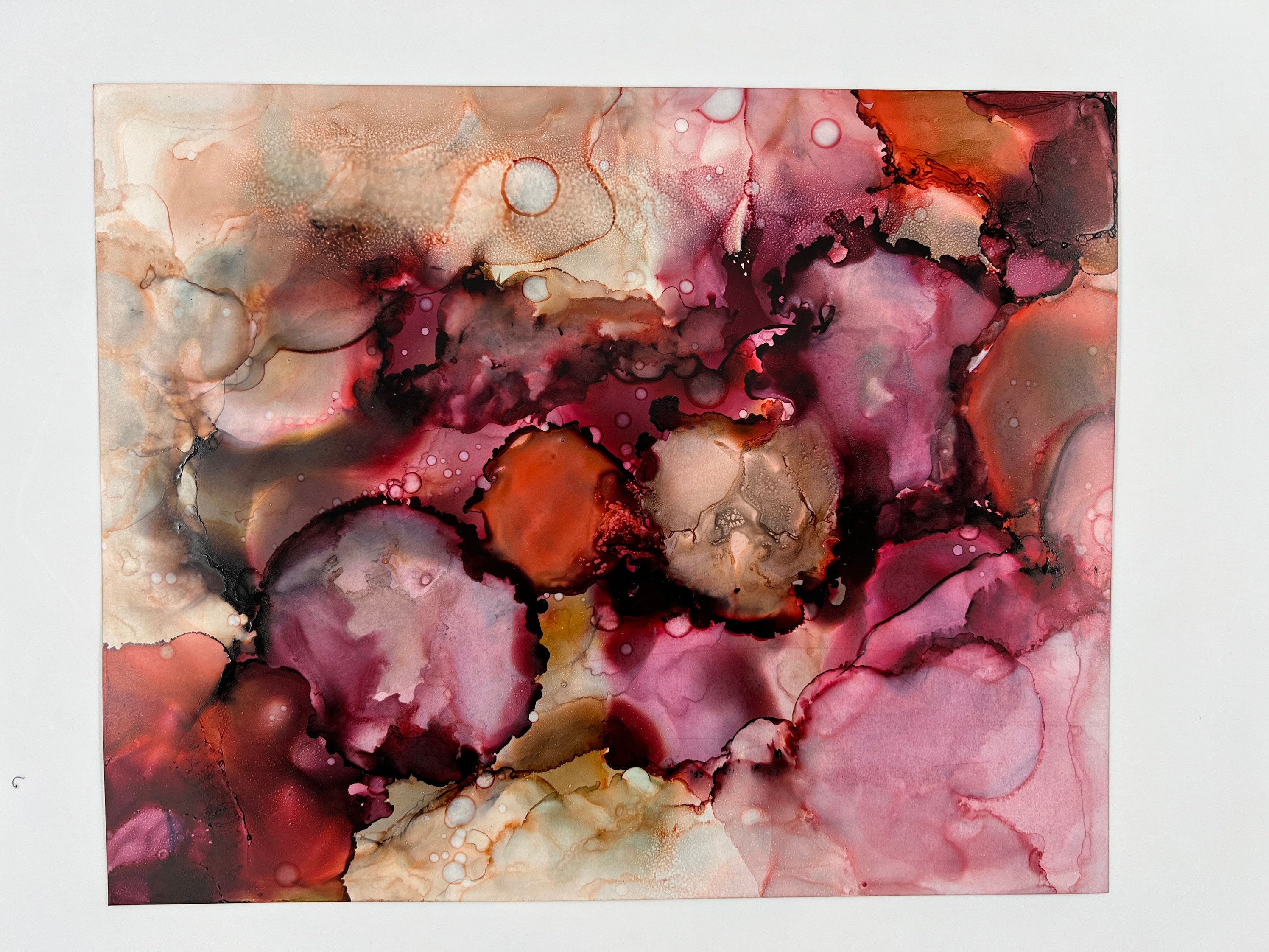 8 by 10 Inch Original Alcohol Ink, a Coral Cosmo - Etsy