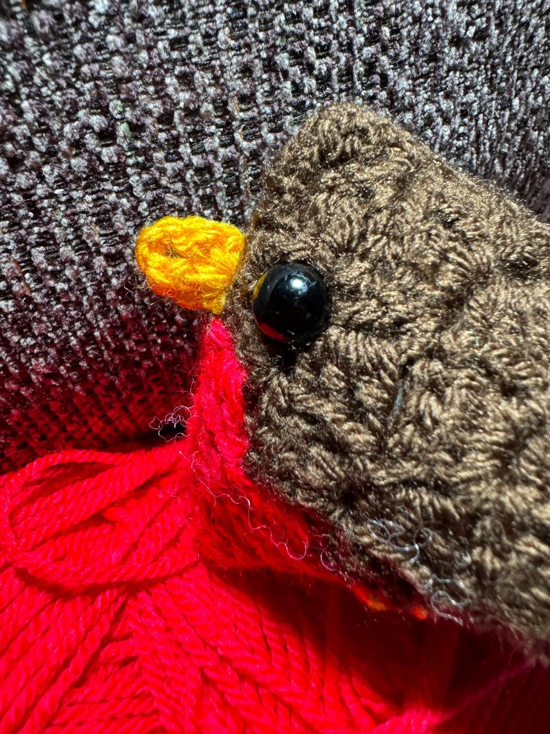 ROBIN - CROCHET (corner to Corner) - Etsy