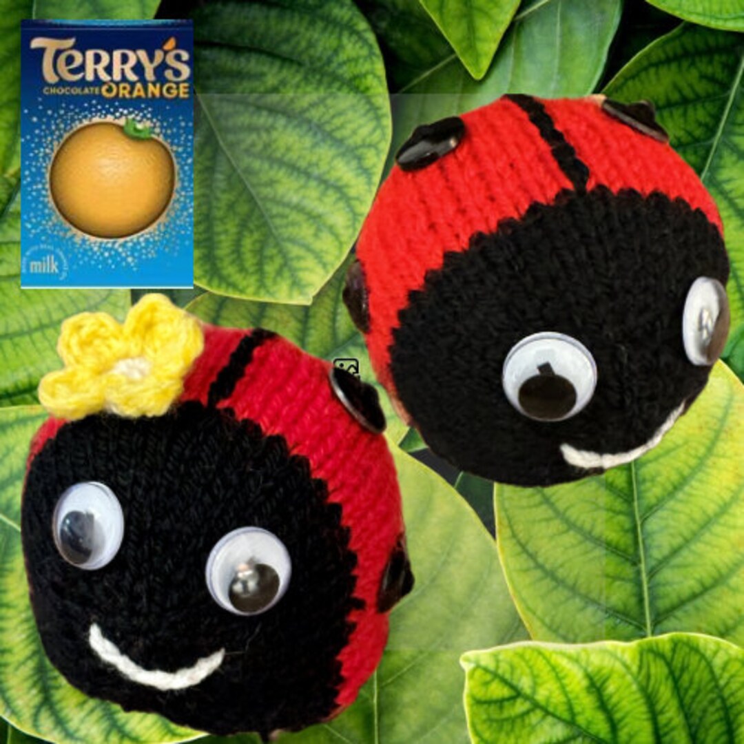 Ladybird / Ladybug Chocolate Orange Cover - Knitting Pattern - Etsy