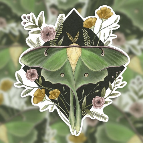 Luna Moth Sticker Vinyl Sticker Moonflowers Waterproof and - Etsy