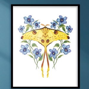 Comet Moth and Flowers Giclée Art Print | Home Wall Decor Fine Art ...
