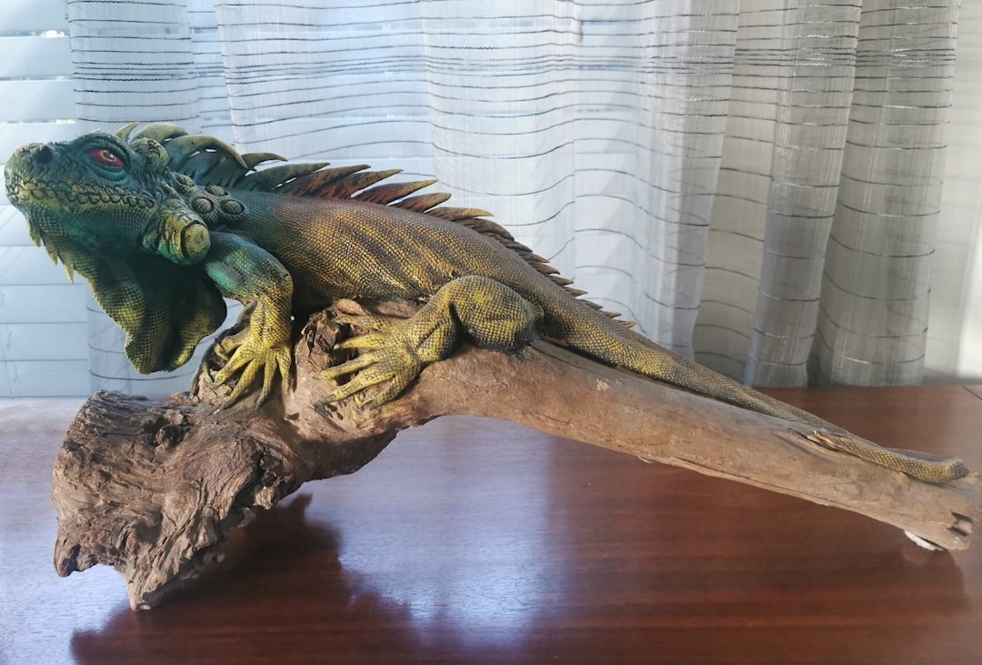 Clay Iguana on Burl Wood Sculpture Vintage Handmade Hand Painted Large ...
