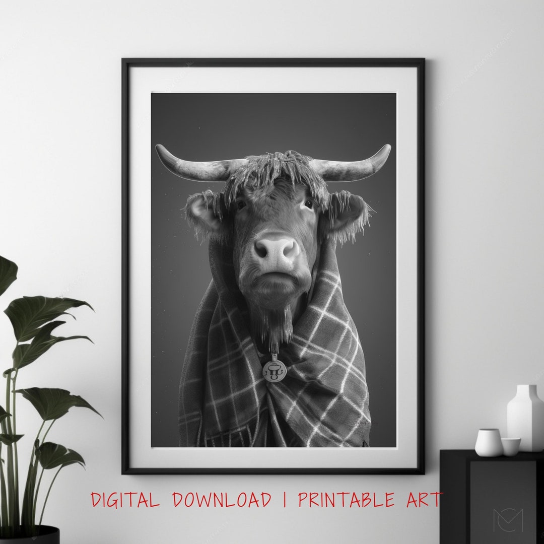 Scottish Highland Cow in the Bathroom Wrapped in Towel | Fun Bathroom ...