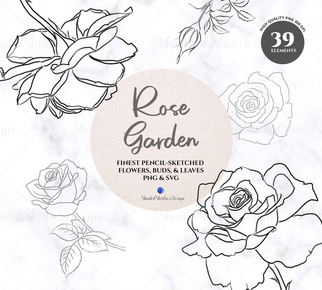 Rose Floral Line Art, Pencil Sketch, Line Art Flowers, Wedding Clipart ...
